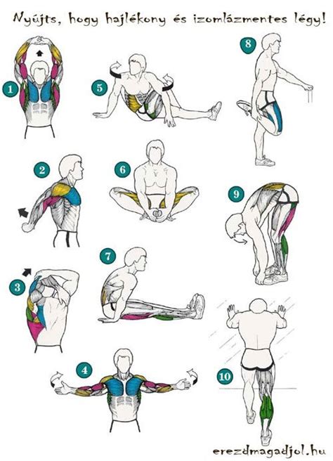 Legjobb nyújtó gyakorlatok After workout stretches Stretches for flexibility After workout