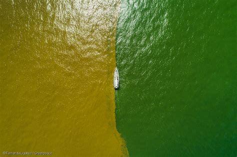 Exploração De Petróleo Na Amazônia E Impactos Greenpeace Brasil