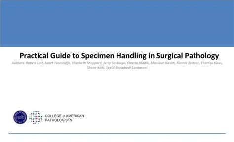 Practical Guide To Specimen Handling In Surgical Pathology Docslib