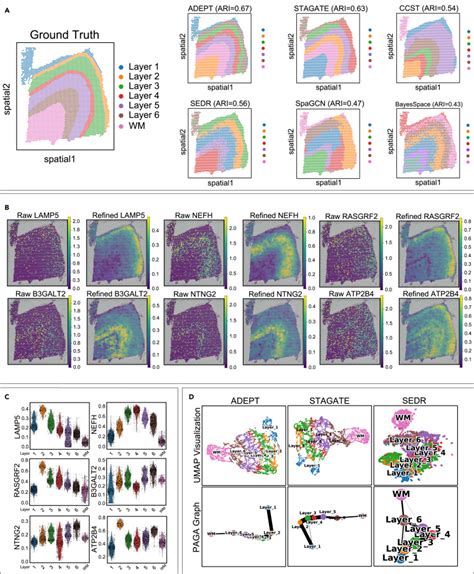 Adept Autoencoder With Differentially Expressed Genes And Imputation For Robust Spatial