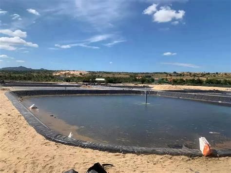 Hdpe Dam Liner 1mm Waterproof Geomembrane For Reservoir River Lake