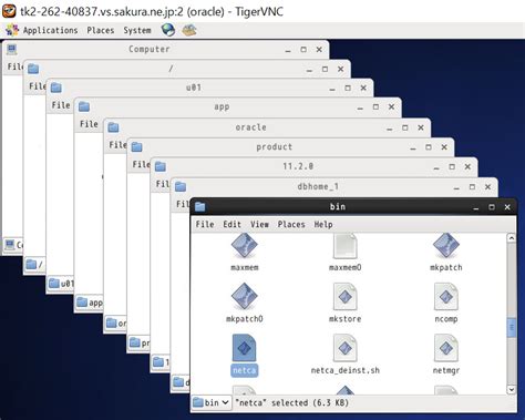 Linuxサーバcentos6にoracledb11gをインストールする（その3） Rainbow Engine