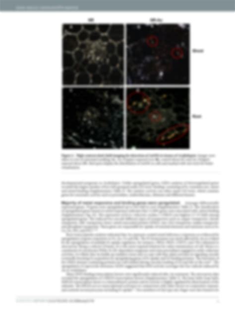 Solution Comparative Transcriptome And Proteome Analysis To Reveal The