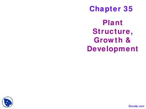 Plant Structure Biology For Science Lecture Slides Docsity