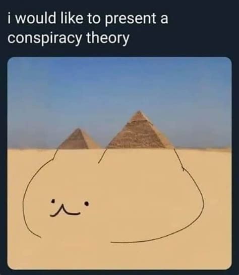 Latest Memes New Memes Memedroid