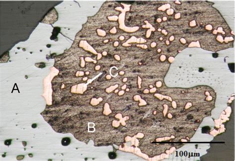 Optical Microstructure Of Results Download Scientific Diagram