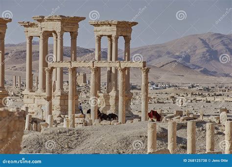 Historical Site Of Palmyra With Ruins Of An Ancient Settlement