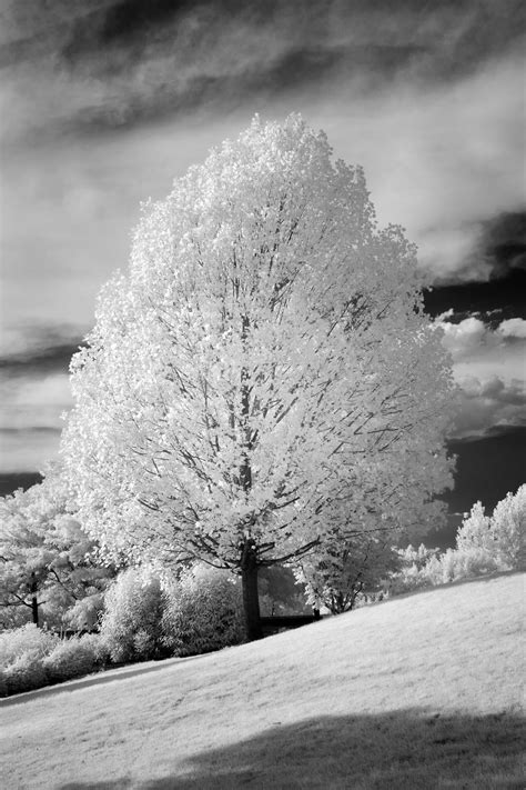 Ir Proximity Sensor Everlight Itr20001 Work With Arduino Ide Rak12017