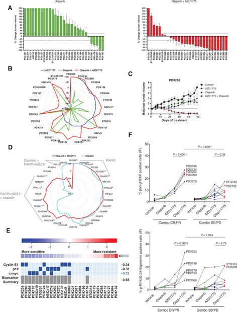 Identification Of A Molecularly Defined Subset Of Breast And Ovarian
