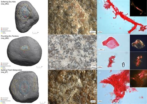 Spatial Distribution Of Residues Across The Utilized Surface Of The