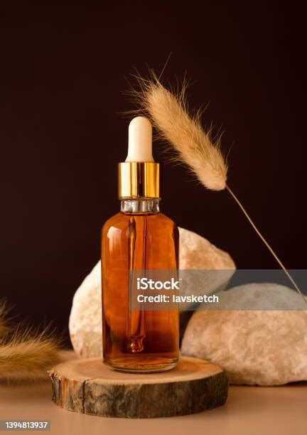 돌과 마른 꽃 근처의 나무 연단에 서있는 투명한 유리 화장품 드롭퍼 뷰티 컴포지션 갈색에 대한 스톡 사진 및 기타 이미지 갈색 개념 건강관리와 의술 Istock