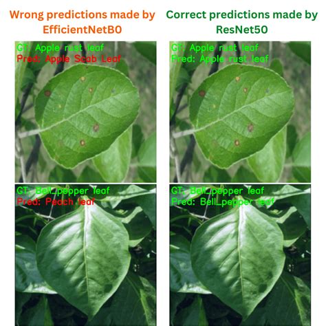 Plant Disease Recognition Using The Plantdoc Dataset And Pytorch