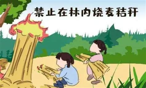引以为戒！切勿违规野外用火澎湃号·政务澎湃新闻 The Paper