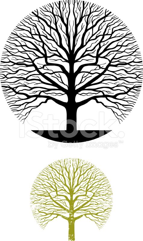 Oak Tree Symbol Illustration Stock Vector FreeImages Com