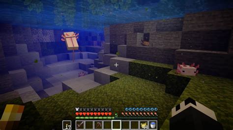 Ajolotes en Minecraft Todo lo que se mostró en Minecraft Live