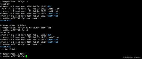 Linux Csdn