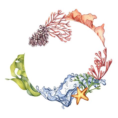 Premium Photo Frame Of Colorful Sea Plants And Water Splash