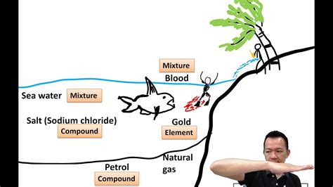 Form Science Chapter Understanding Element Compound And Mixture Part YouTube