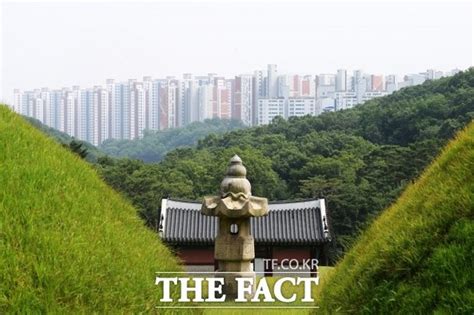왕릉뷰 아파트 건설사 문화재청 상대 또 승소 네이트 뉴스