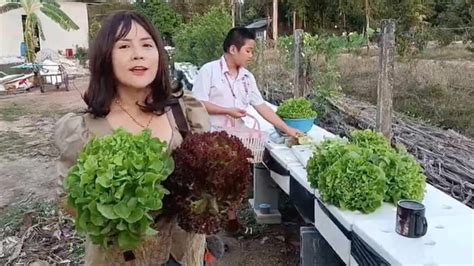 สาวเมืองจันทบุรีสอนลูกปลูกผักอินทรีย์ โตเต็มฟาร์ม อาชีพมั่นคงสร้าง