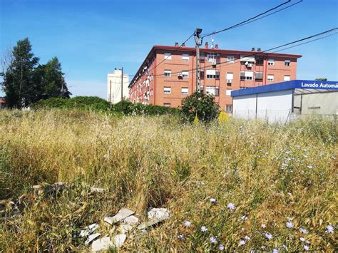 Un bando municipal recuerda la obligación de limpiar los pastos en