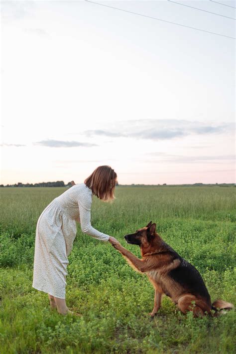 How To Use Positive Reinforcement Techniques To Train Your Dog