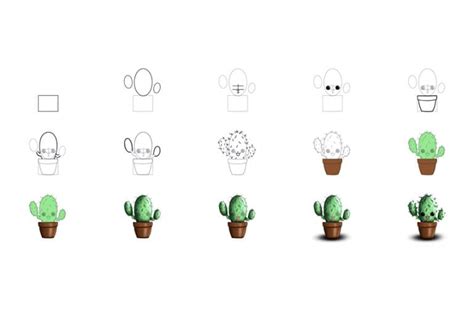 Cactus Drawing Succulent Sketching