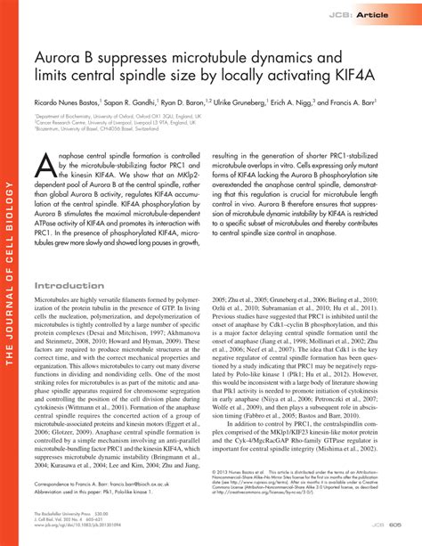 PDF Aurora B Suppresses Microtubule Dynamics And Limits Central