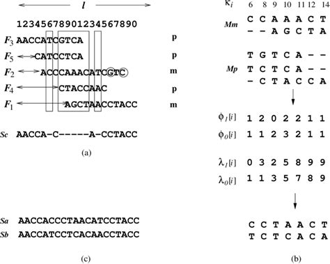 3 an example for illustrating our algorithm a the consensus process download scientific
