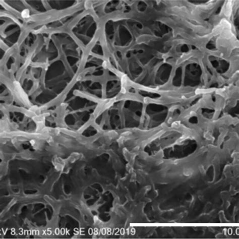 A Comparison Of Macroscopic Parameters Between L Prf And A Prf Download Scientific Diagram