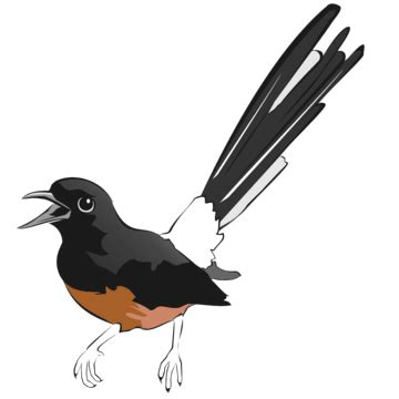 Bokep Gambar Ml PNG Transparent Images Free Download | Vector Files ...