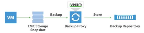 veeam backup from storage snapshots mzaerways