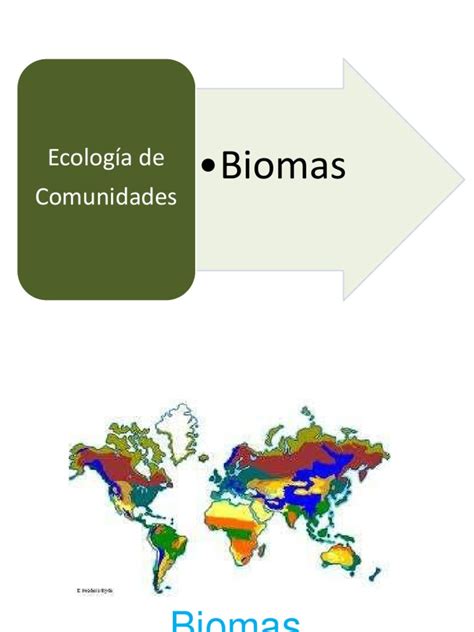 Biomas Terrestres Y Acuaticos Pdf Descargar Gratis Pdf Desierto Clima