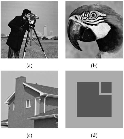 A Simplified Convex Optimization Model For Image Restoration With Multiplicative Noise