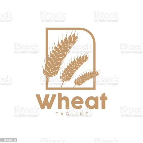 쌀 로고 농장 밀 로고 디자인 벡터 밀 쌀 아이콘 템플릿 일러스트레이션 건강한 생활방식에 대한 스톡 벡터 아트 및 기타 이미지 건강한 생활방식 건강한 식생활 고급