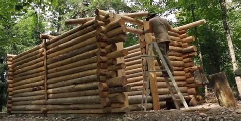 Diy Log Cabin DIY Ideas