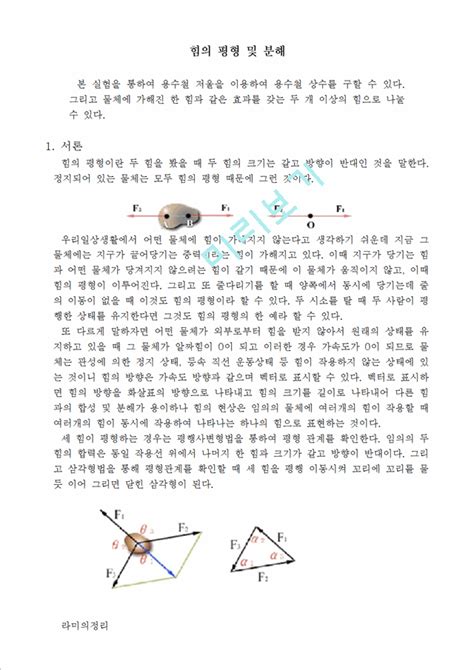자연과학 일반물리학실험 힘의 평형 및 분해물리실험과제