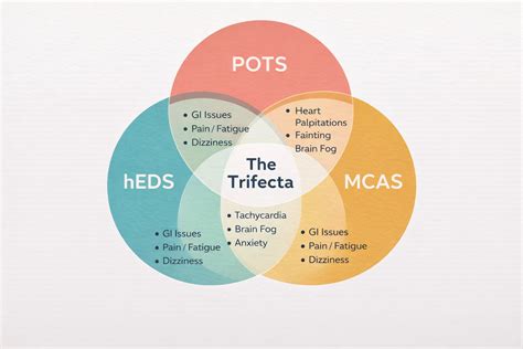Lymphatic Drainage For Mcas Why Your Swelling Flares And How Vodder