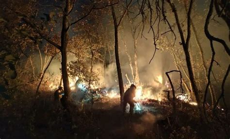 Incendio En Sierra De Santa Rosa Amenaza Comunidades De Guanajuato