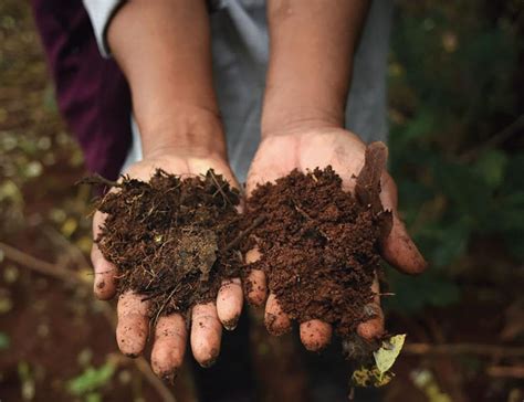 Major Soil Types Of India Map Archives Elite IAS Academy Best IAS Coaching In Delhi