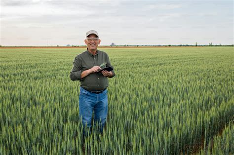 밀밭에 서서 태블릿을 들고 낮 동안 작물을 조사하는 선임 농부의 초상화 사진 Unsplash의 성인 이미지