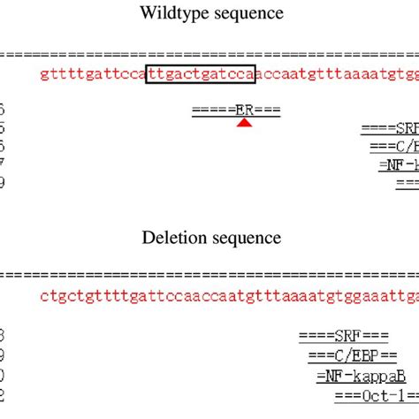 Bioinformatics Predicted Transcription Factor Binding Sites On The 12