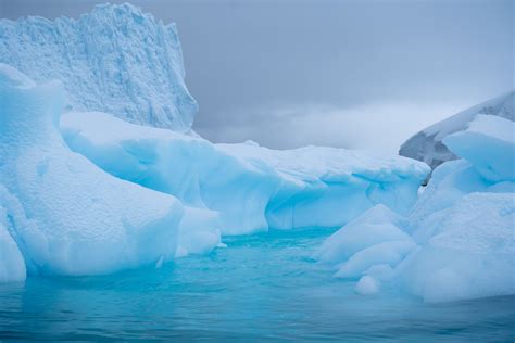 10 Datos Curiosos Que No Sabías Sobre La Antártida El Continente Blanco