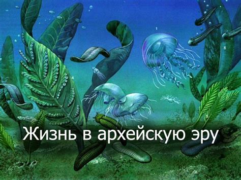 Биология скачать презентации бесплатно в формате Powerpoint