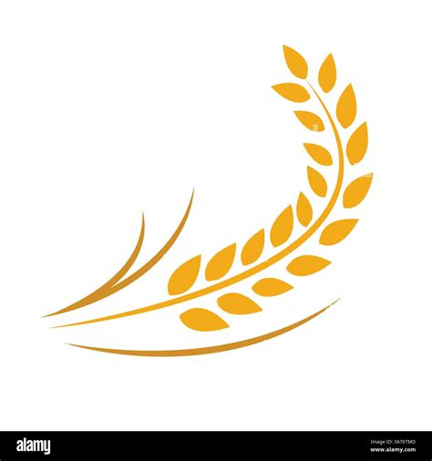 Agriculture Wheat Logo Icon Vector Wheat Ear Symbol Wheat Rice Agriculture Icon Vector In