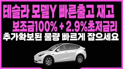 테슬라 모델y 할인 보조금100받고 빠른출고하는 방법 최저금리 모델y 스탠다드 리스 장기렌트 Youtube
