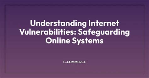understanding internet vulnerabilities safeguarding online systems b