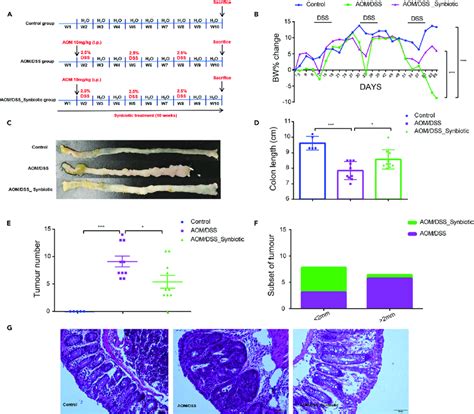 The Occurrence And Development Of Tumors In Aom Dss Mice And Download Scientific Diagram