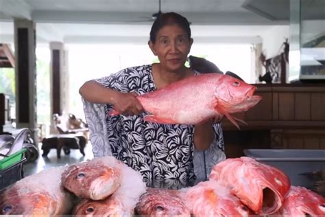 Detail Jenis Jenis Ikan Kakap Dan Gambarnya Koleksi Nomer 18