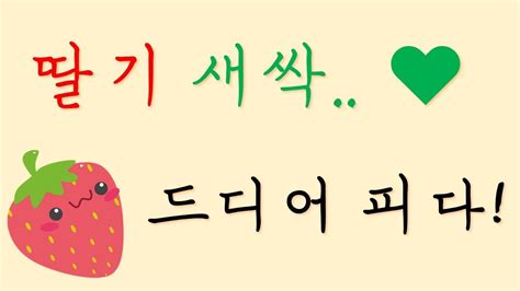 3 딸기 새싹 Youtube